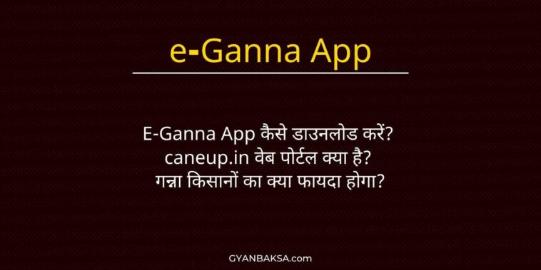 Winning At Cricket Betting – A Guide