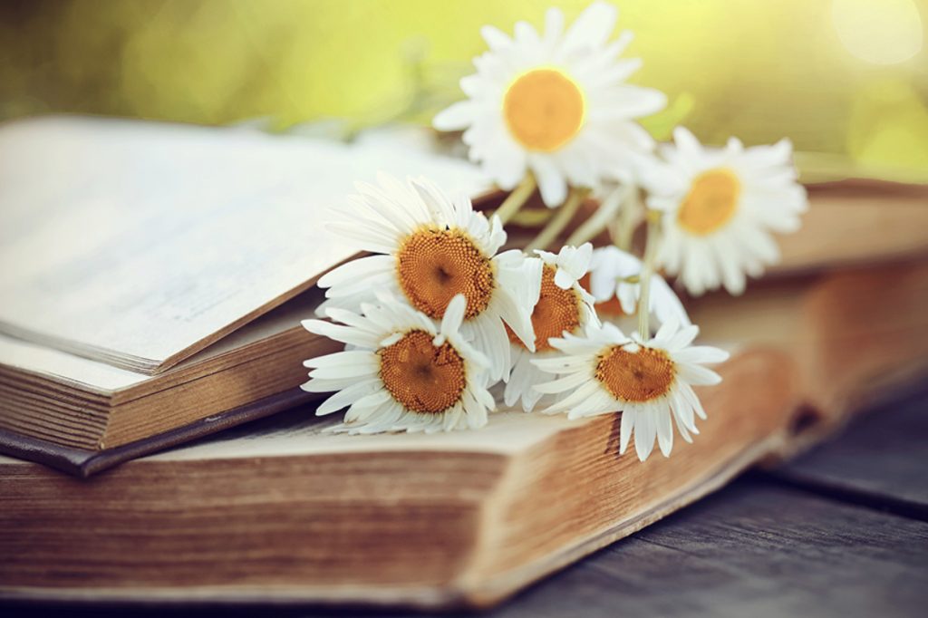 How Funeral Poems Offer Comfort and Reflection in Times of Loss and How ...